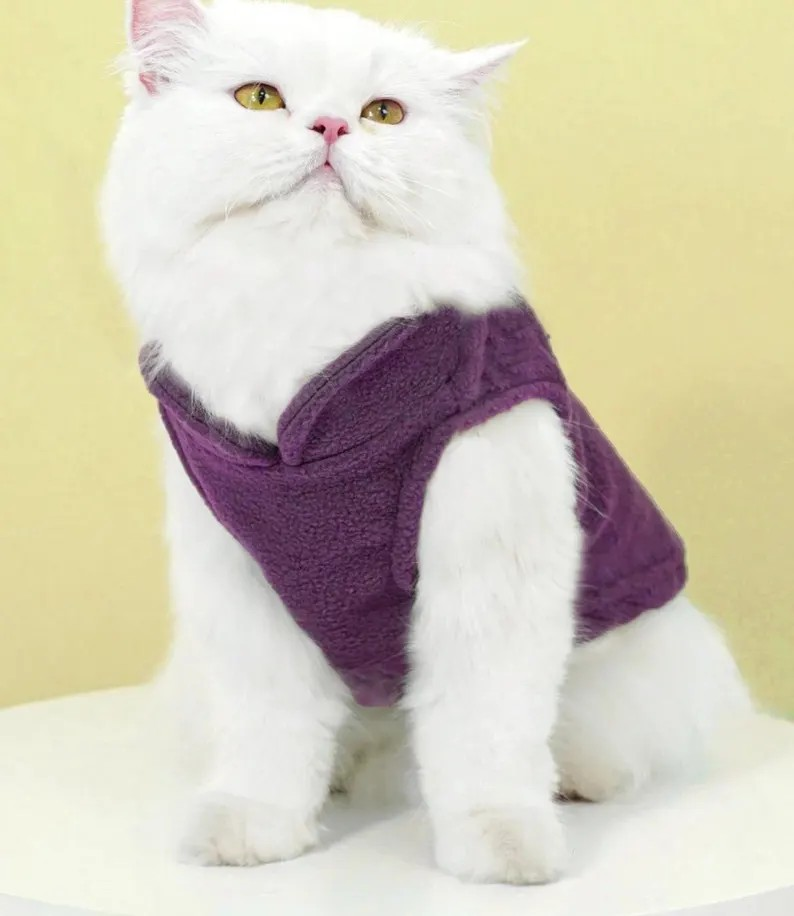 Cat Sewing Pattern, Cat Top Sewing Pattern, Sewing Pattern Pet, Patter ...